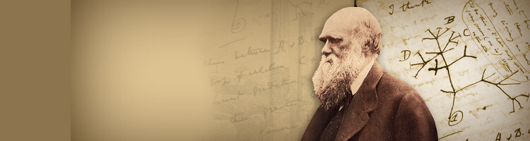 Compass House (Quedgeley)